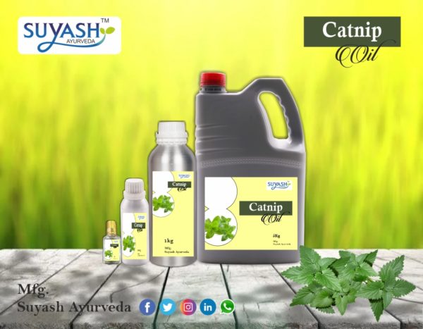 Catnip Oil - Suyash Ayurveda